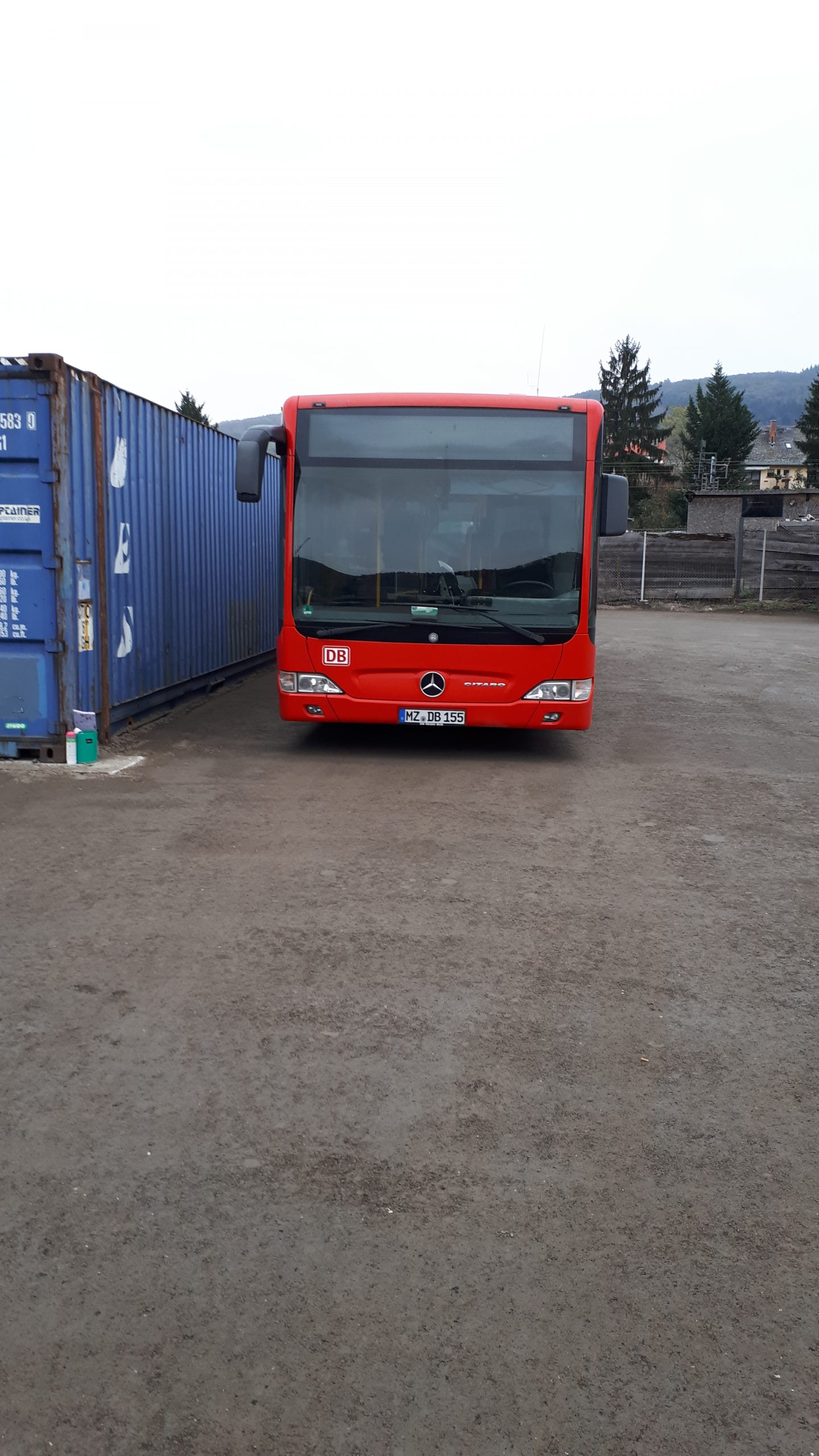 BioSi Balastan® für belastbare Wege – Iris Schweizer